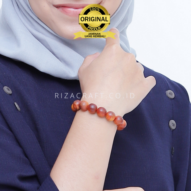 Gelang Raja Kayu Merah